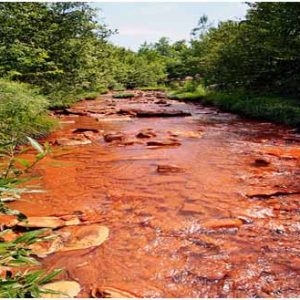 GNY :: Acid in Rivers | Corroding the Ecology of areas near Mining Sites