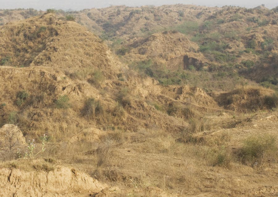 GNY :: Human Induced Land Subsidence