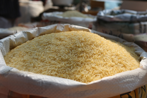 GNY :: Heirloom Rices a Repertoire of Genetic Wealth