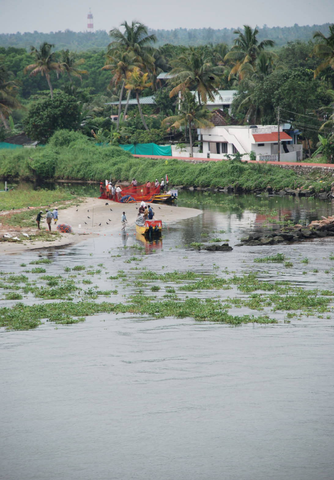 GNY :: Coastal Geomorphology