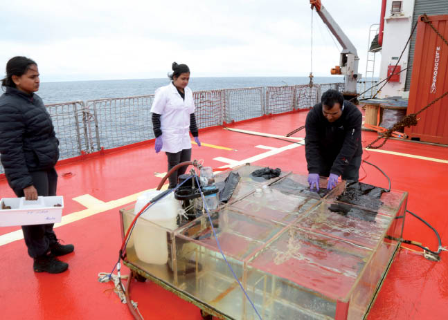 GNY :: Process Studies in the Southern Ocean: An Overview and Future ...