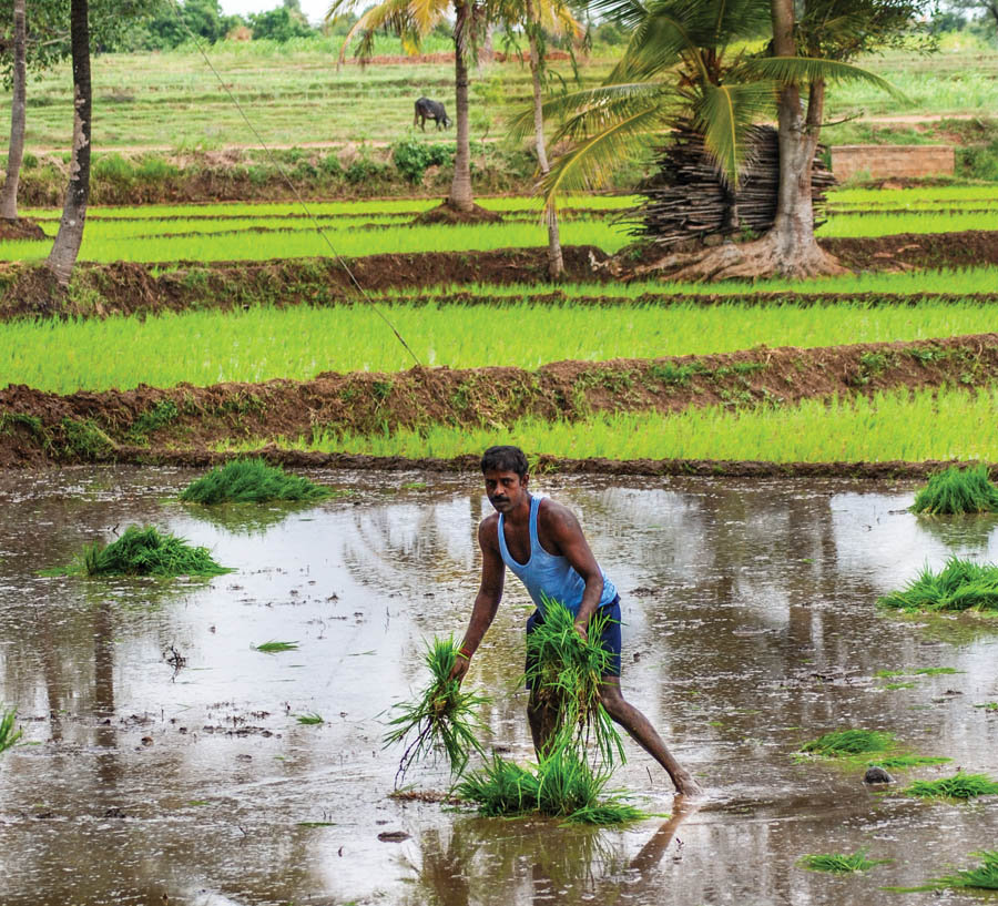 GNY :: Monsoons in India