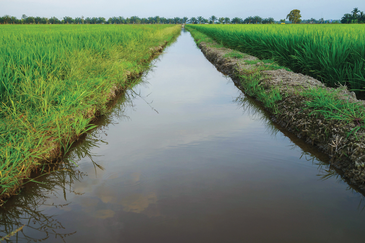 GNY :: Irrigation Infrastructure Monitoring under Accelerated ...