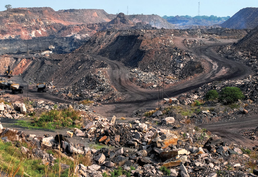 GNY :: The great Indian coa