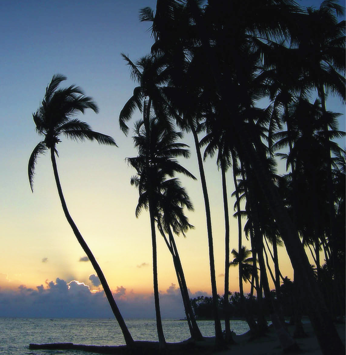 GNY :: Cyclone Warning Services