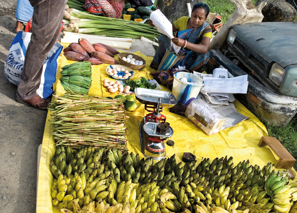 GNY :: Socio-Economic Profile of States