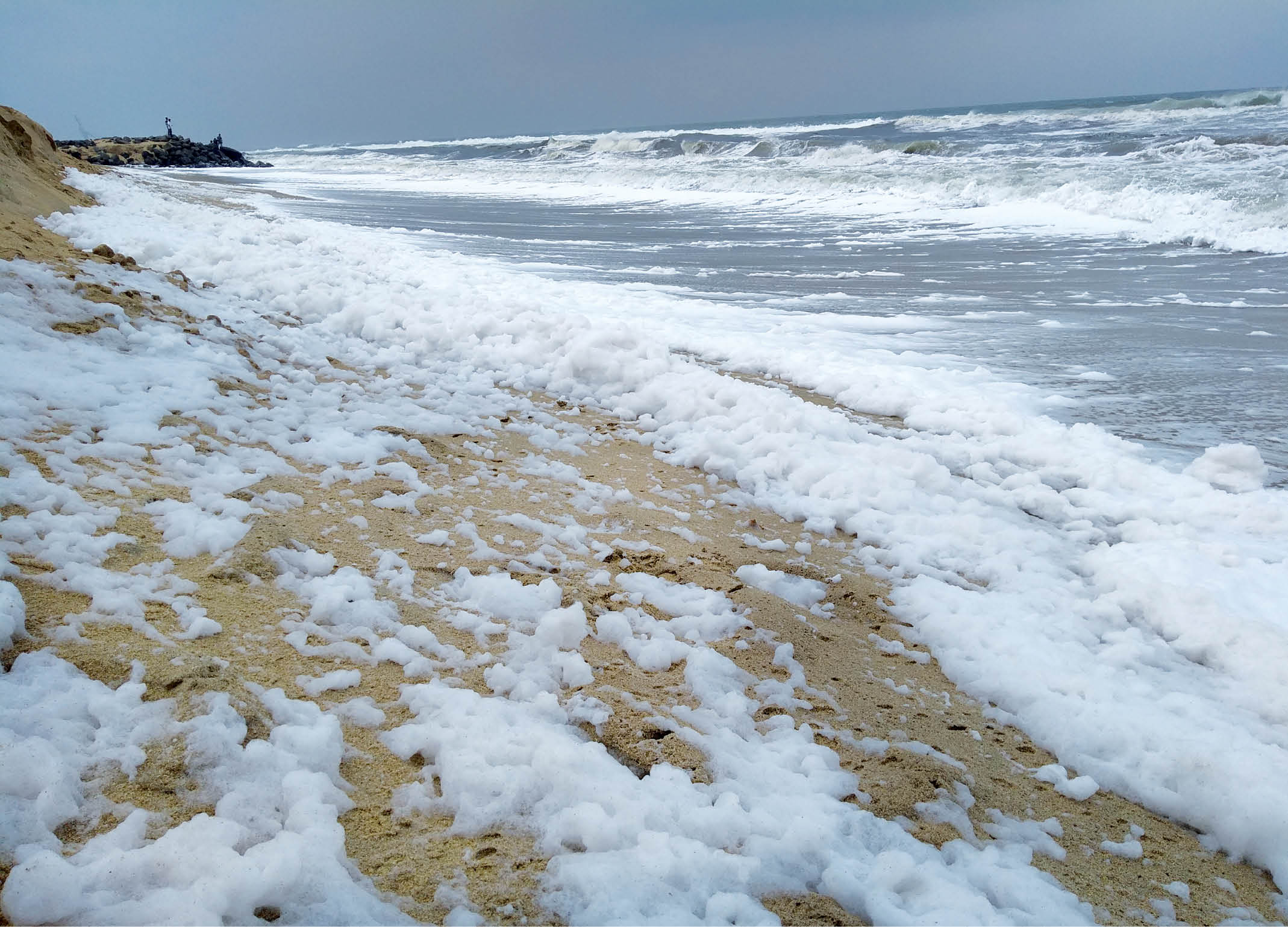 GNY :: Tracking Coastal Pollution