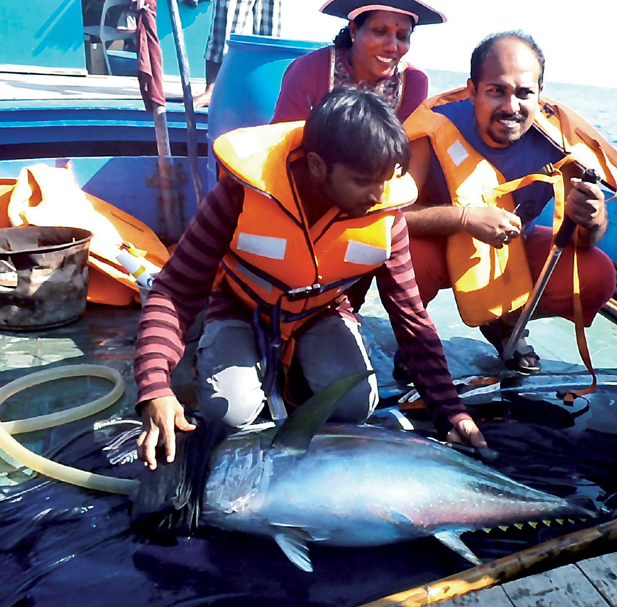 GNY :: Tracking Yellowfin Tuna