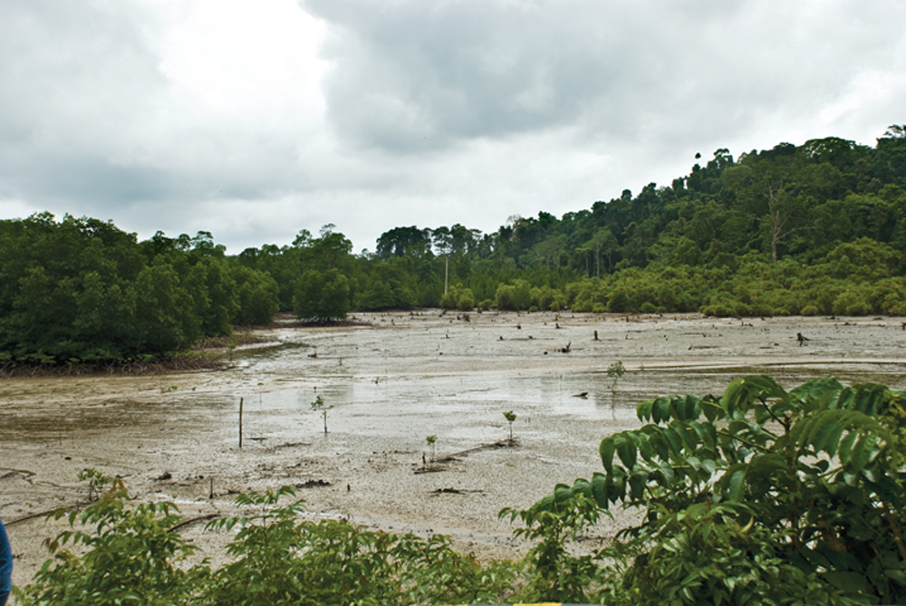 GNY :: Andaman and Nicobar: A Challenge for Multi Hazard Risk Management