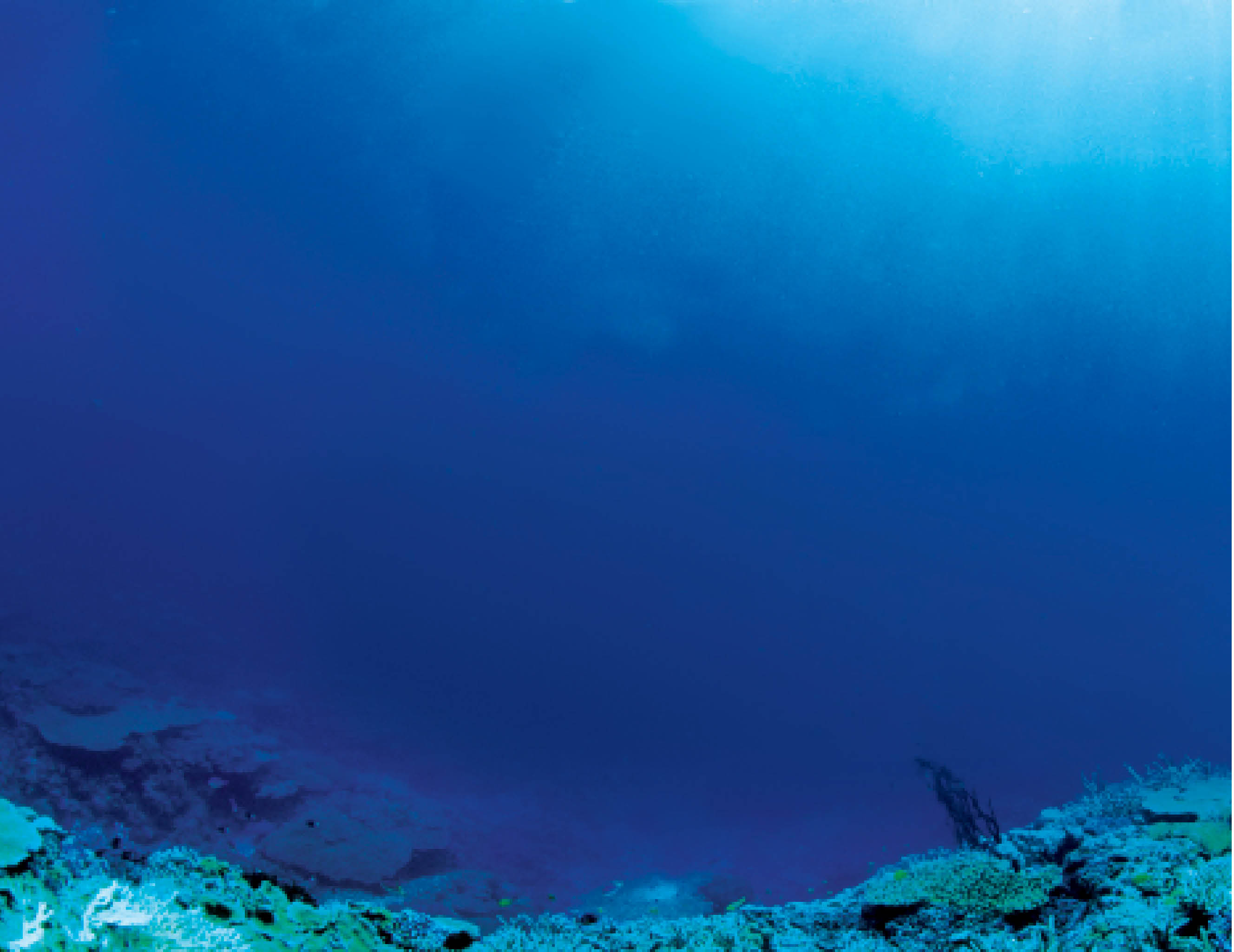 GNY :: Beneath the Ocean Floor