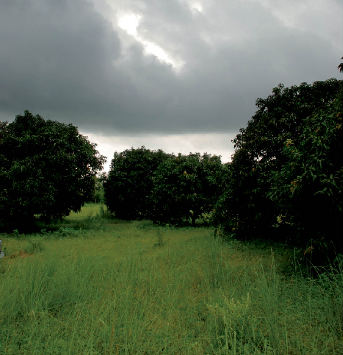 GNY :: Cloudburst