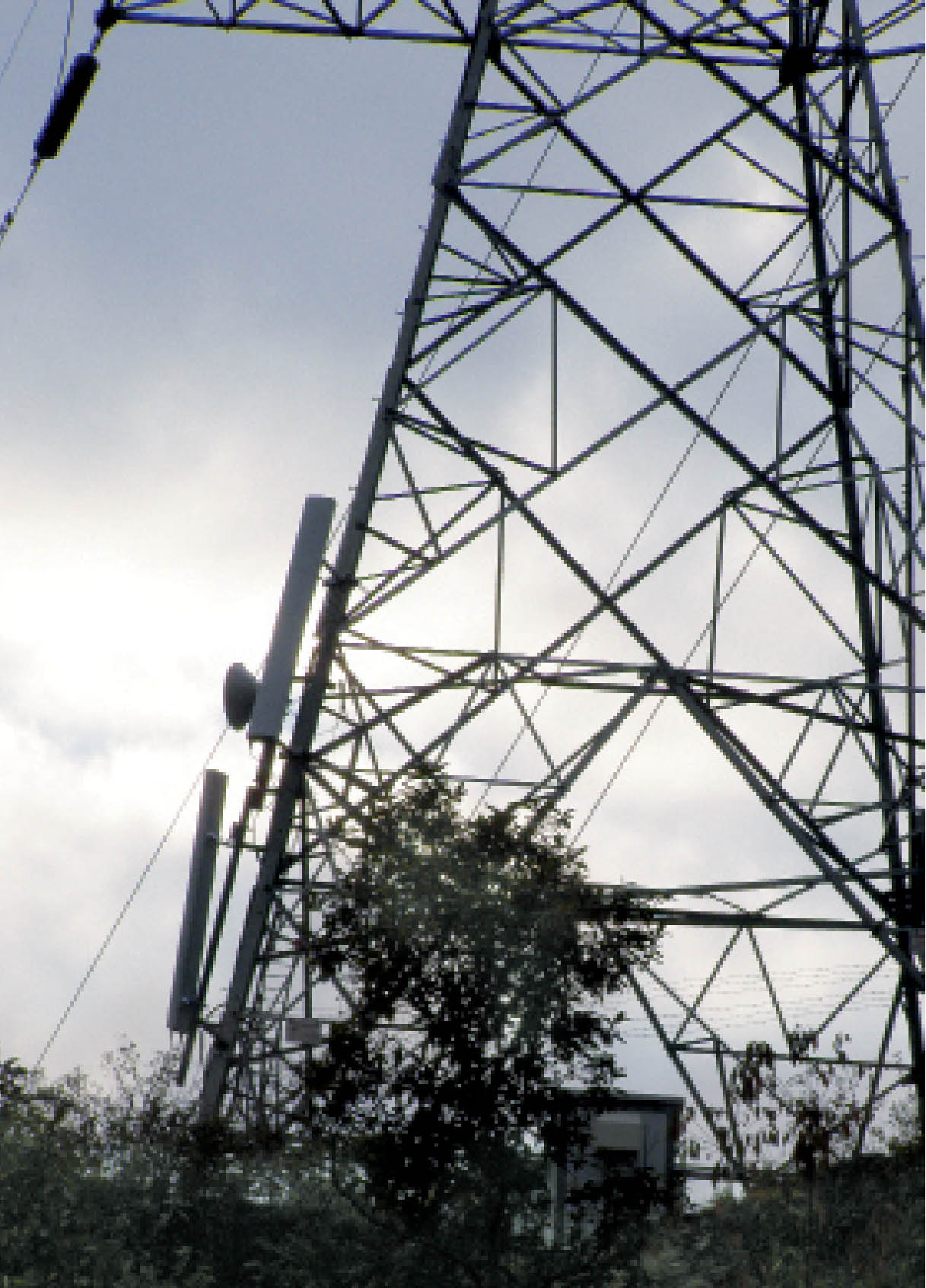 GNY :: POWERTEL the Emerging Telecom Giant