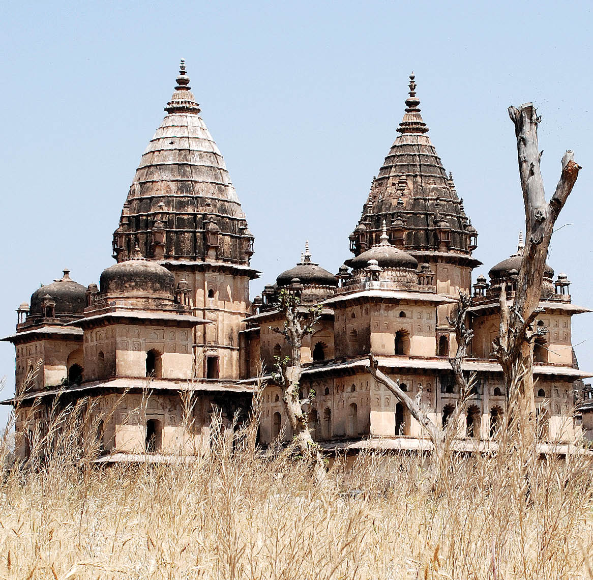 GNY :: The History of Climate Change in India