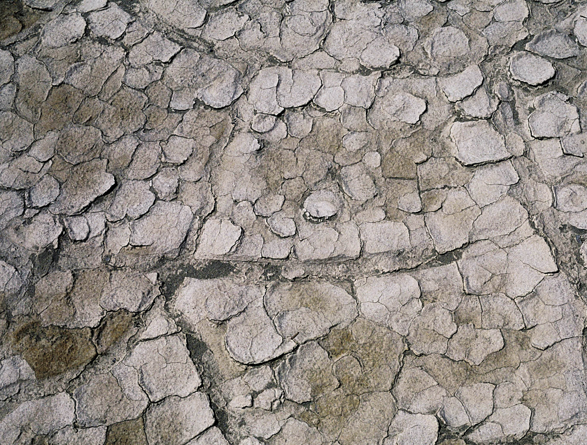 GNY :: Understanding droughts in India