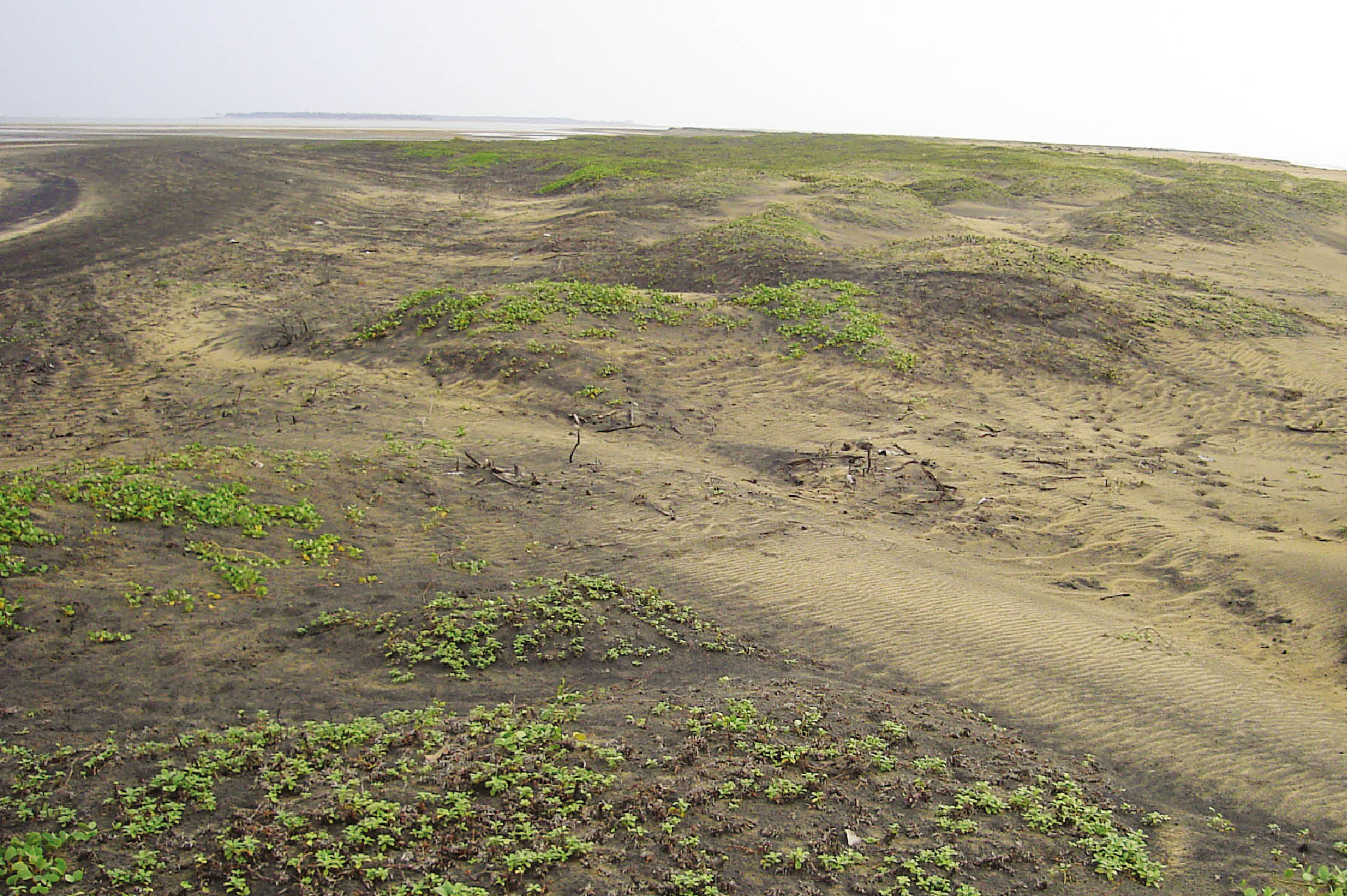 GNY :: Land Degradation 2007