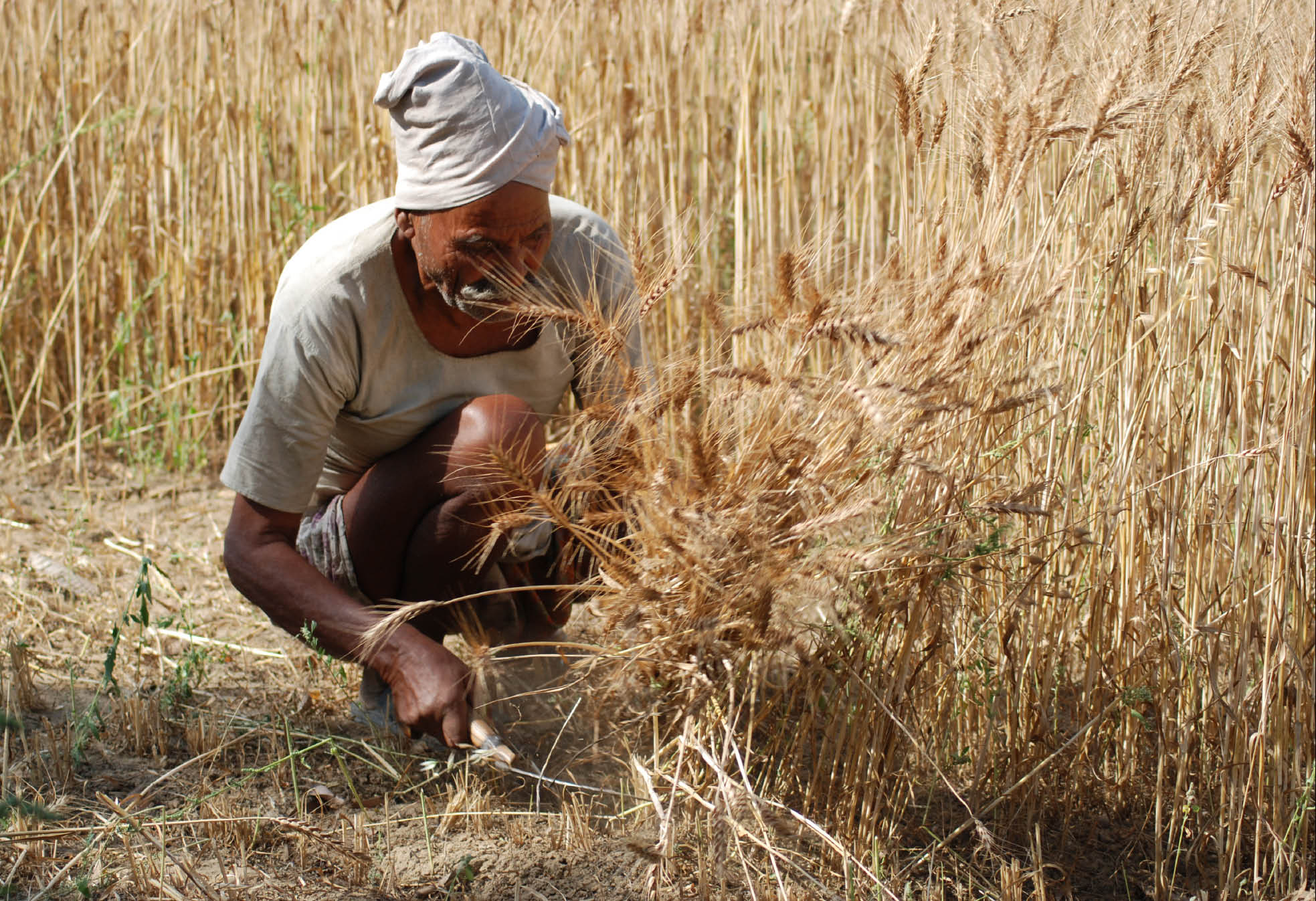 GNY :: Geography of Food